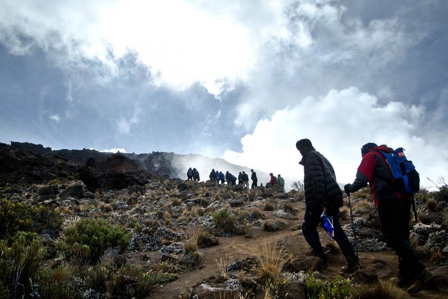 Kilimanjaro Trek: Rongai Route 7 Days - About Kilimanjaro Treks and ...